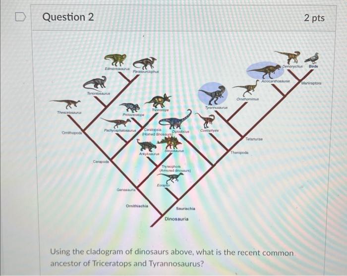 Solved Question 2 Using the cladogram of dinosaurs above, | Chegg.com
