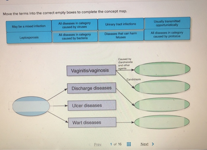 Solved Move the terms into the correct empty boxes to | Chegg.com
