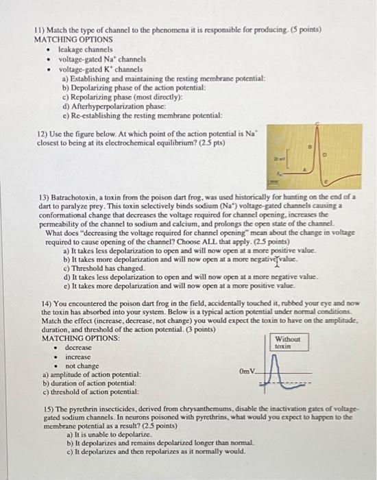 Solved 11) Match the type of channel to the phenomena it is | Chegg.com