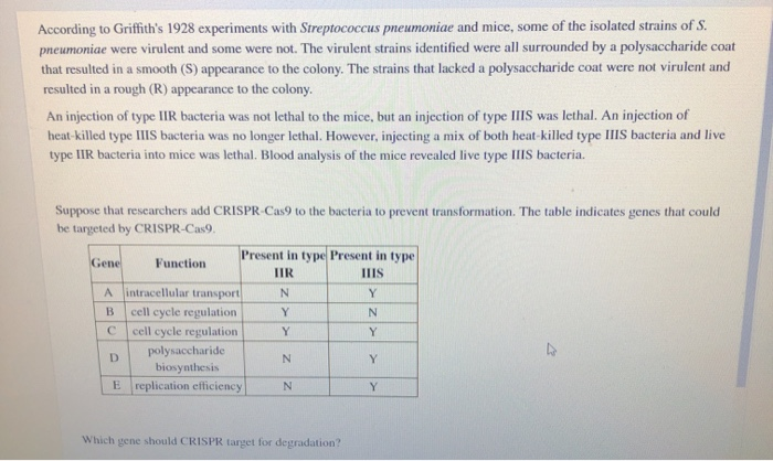 Solved According to Griffith's 1928 experiments with | Chegg.com