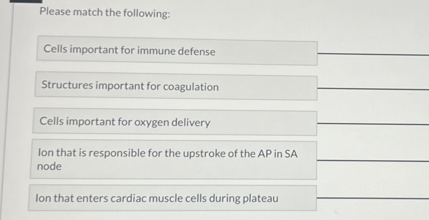 Solved Please match the following:Cells important for immune | Chegg.com