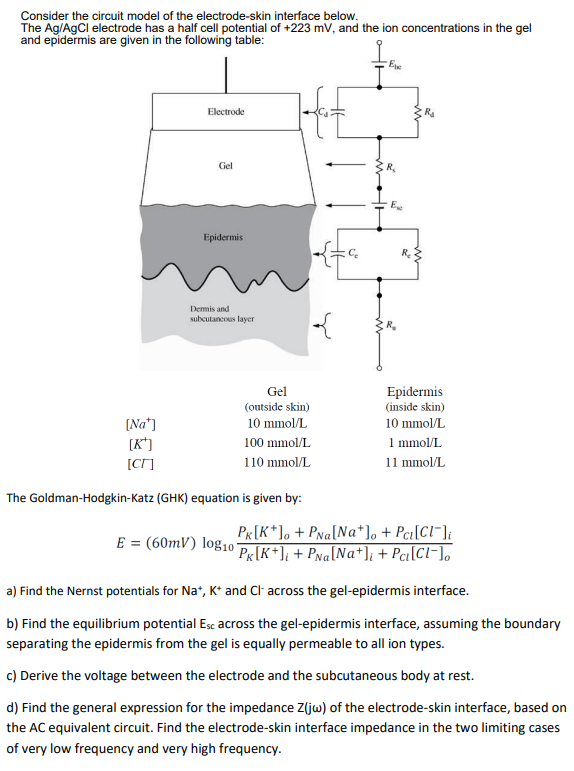 Solved Consider the circuit model of ﻿the electrode-skin | Chegg.com