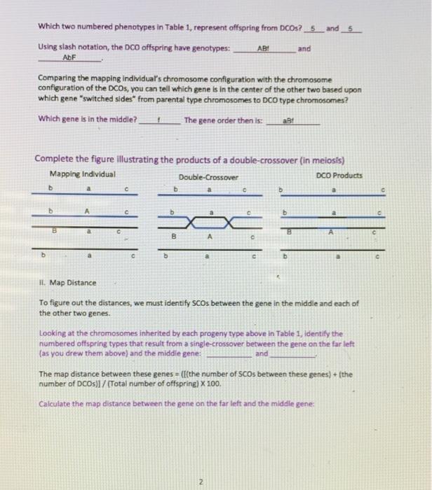 1. Determining single-crossovers (SCOs), | Chegg.com