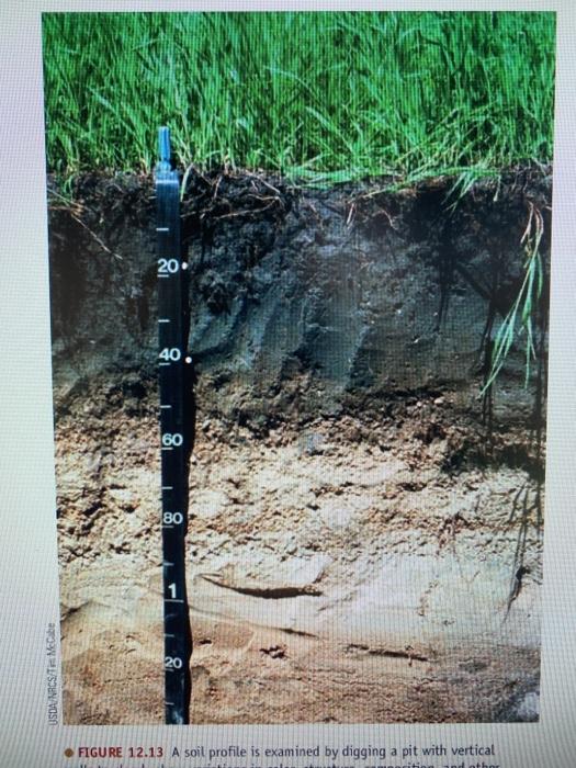 Solved at what depth are the horizon boundaries? use the | Chegg.com