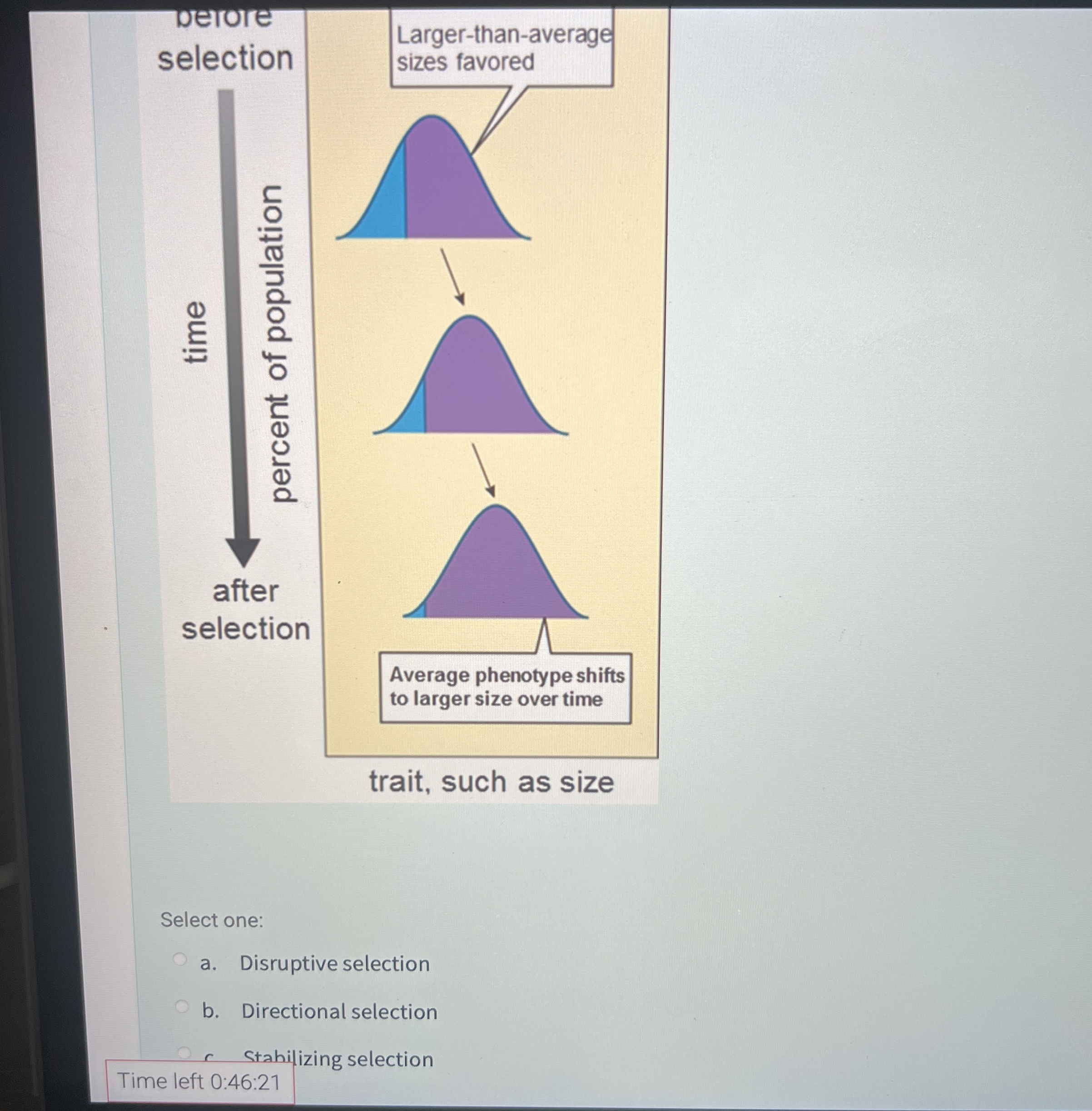 Solved trait, such as sizeSelect one:a. ﻿Disruptive | Chegg.com