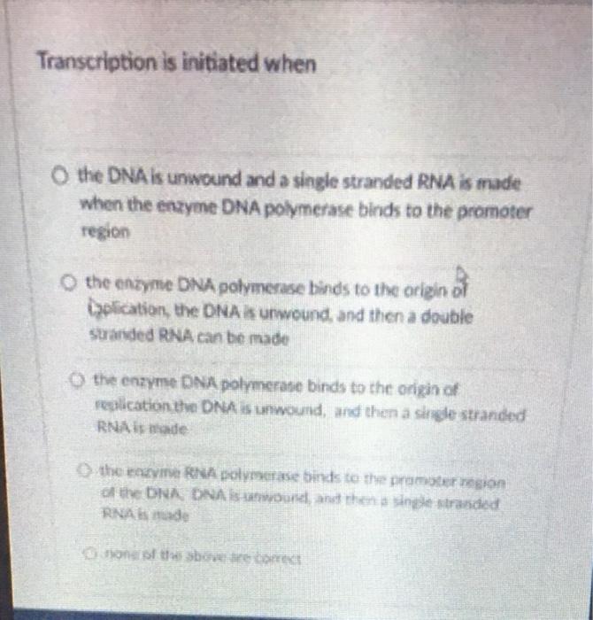 Solved Transcription is initiated when O the DNA is unwound | Chegg.com