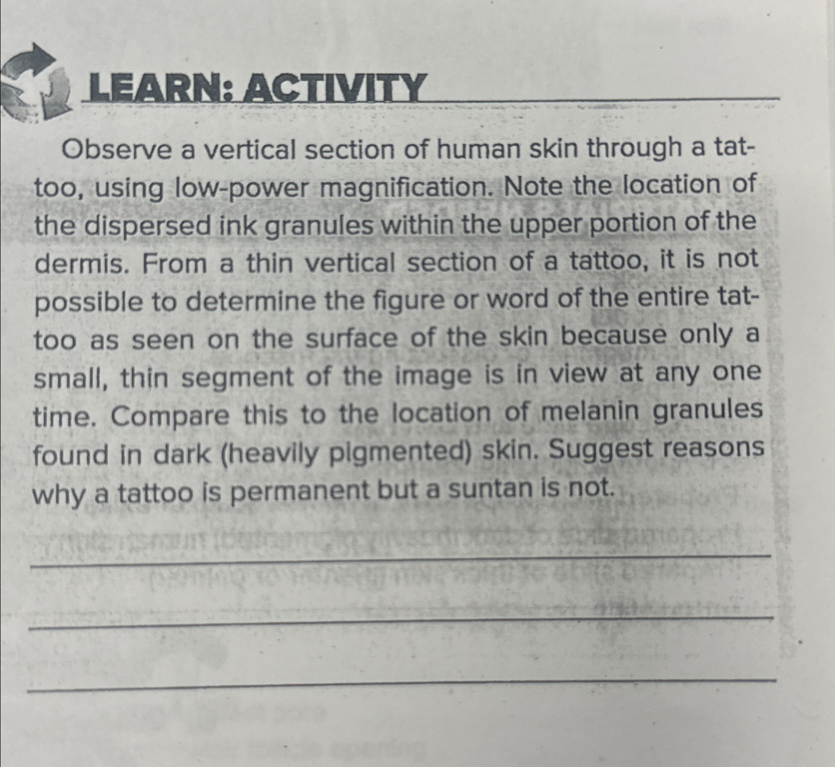 Solved LEARN: ACTIVITYObserve a vertical section of human | Chegg.com