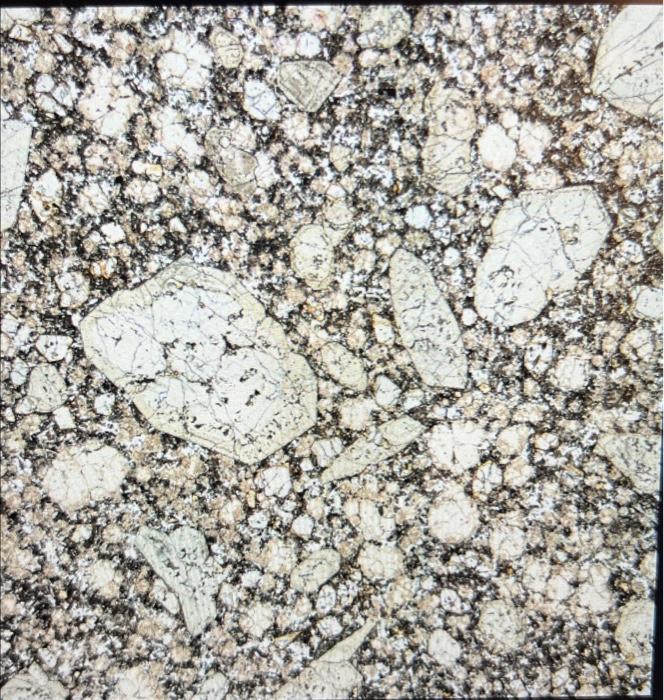 Minerals with paralle extinction are: tourmaline | Chegg.com