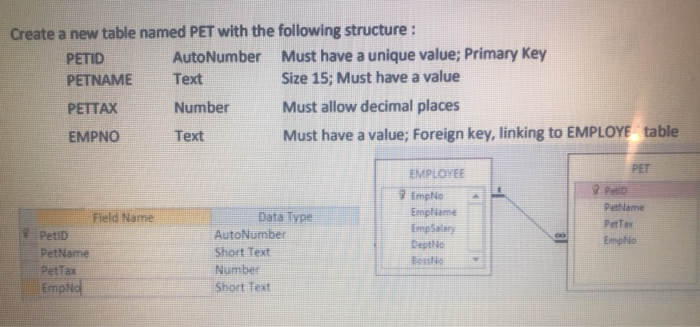 Solved Create a new table named PET with the following | Chegg.com