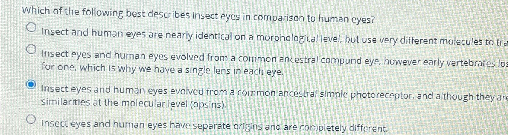 Solved Which of the following best describes insect eyes in | Chegg.com