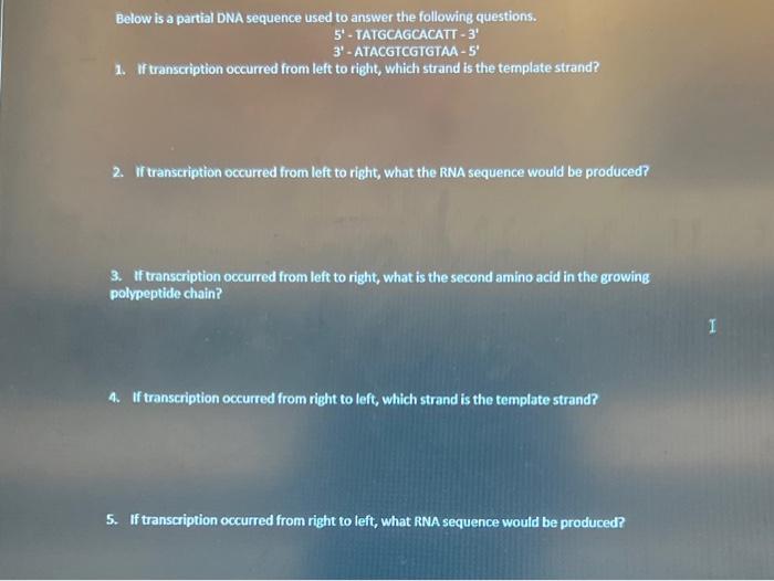 Solved Below is a partial DNA sequence used to answer the | Chegg.com