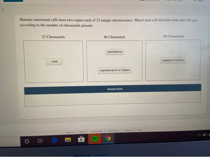 Solved Humans autosomal cells have two copies each of 23 | Chegg.com