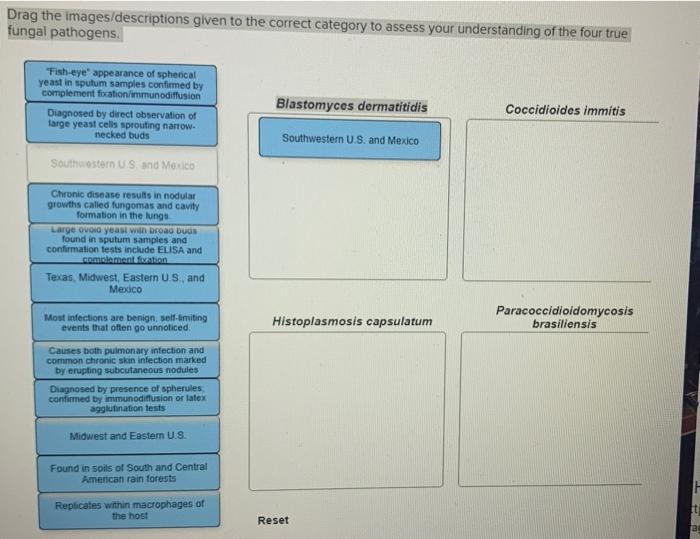 Solved Drag the images/descriptions given to the correct | Chegg.com Solved Drag the images/descriptions given to the correct | Chegg.com
