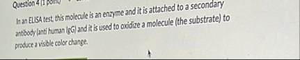 Solved In an ELSA test, this molecule is an enzyme and it is | Chegg.com