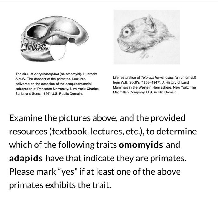 EXERCISE ONE: The Eocene (Approximately 55 - 34 MYA): | Chegg.com