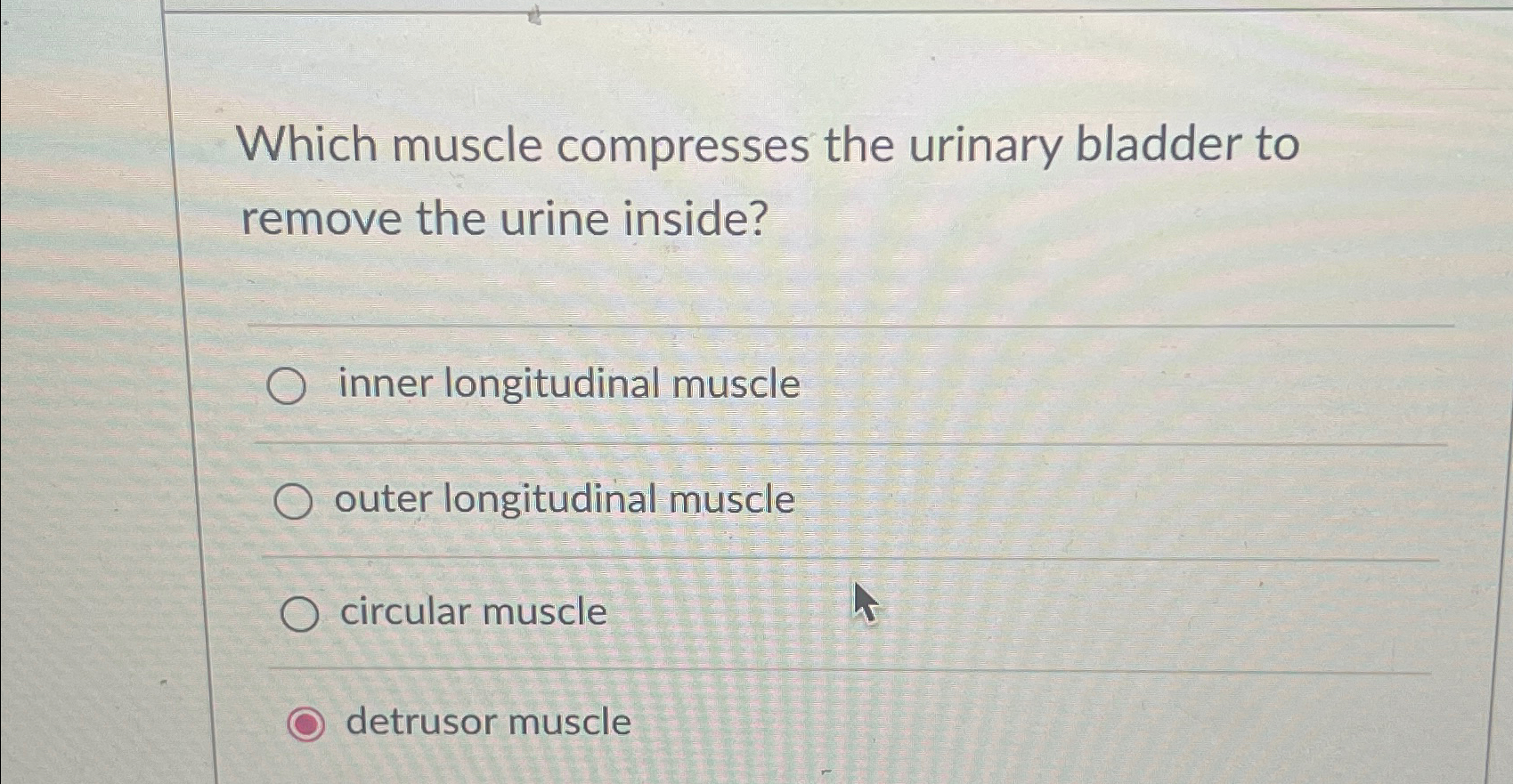 Solved Which muscle compresses the urinary bladder to remove | Chegg.com