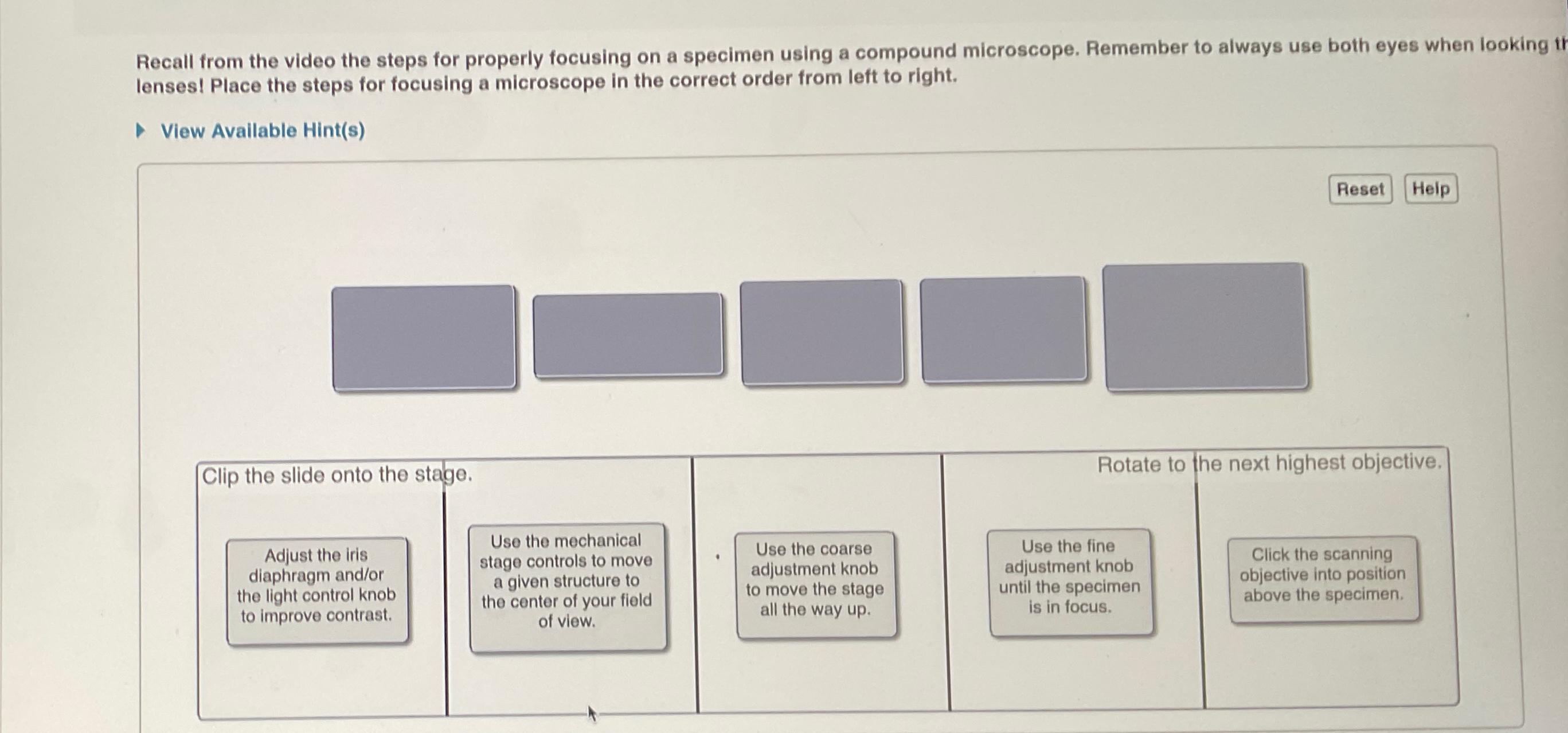 Solved Recall from the video the steps for properly focusing | Chegg.com