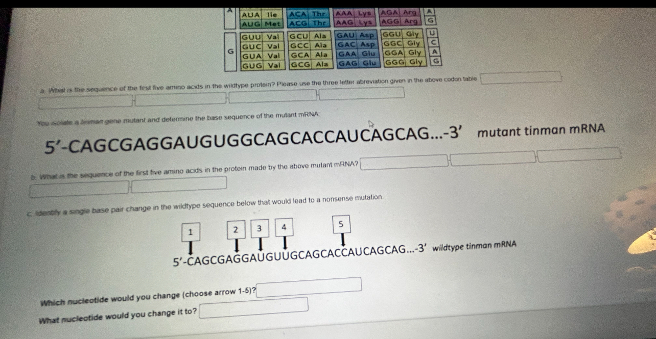 Solved please help, the top is genetic code chart, answer | Chegg.com