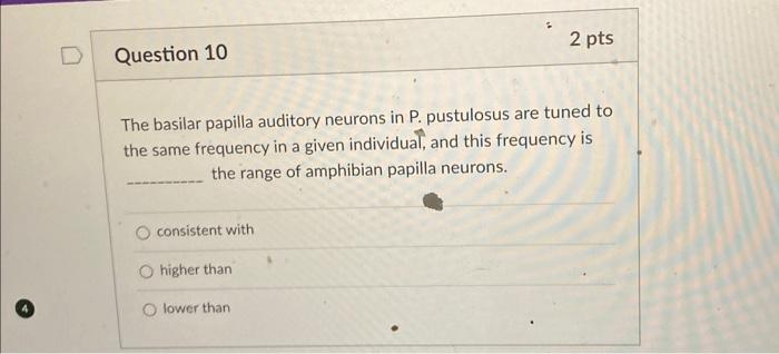 Solved The basilar papilla auditory neurons in P. pustulosus | Chegg.com