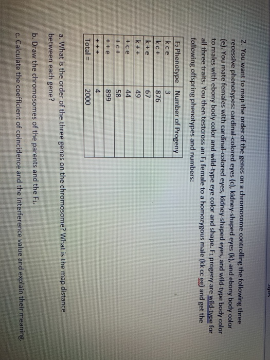 Solved Styles 2. You want to map the order of the genes on a | Chegg.com