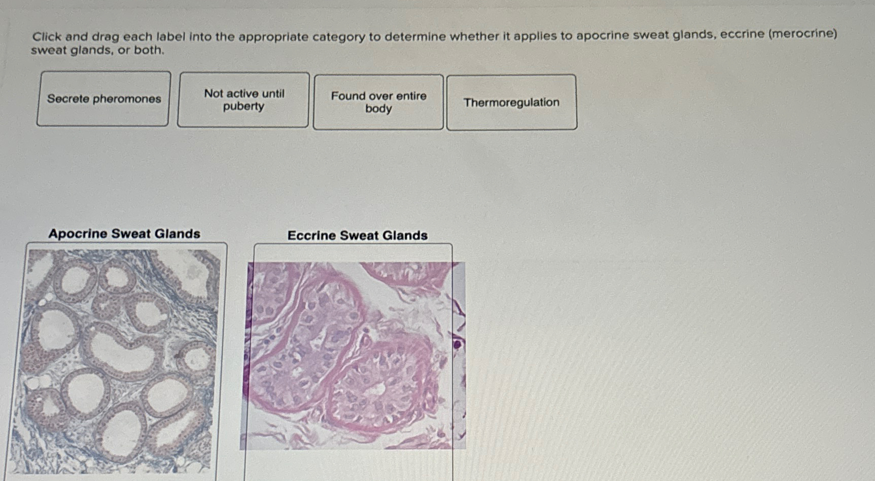 Solved Click and drag each label into the appropriate | Chegg.com