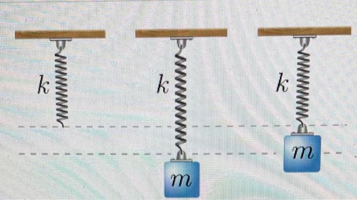 Solved Problem 2: A spring hangs vertically from a bracket | Chegg.com