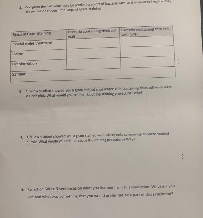 Solved Lab 3: The Gram Stain: Identify and differentiate | Chegg.com