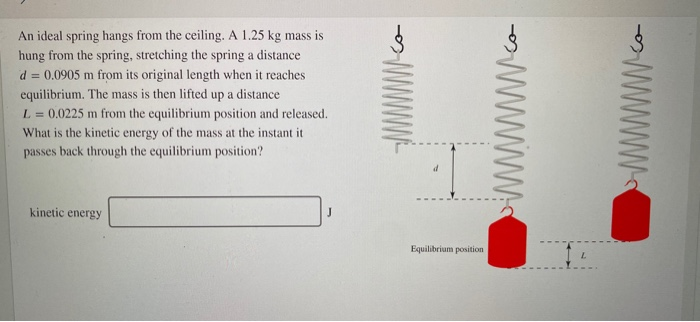 Solved An ideal spring hangs from the ceiling. A 1.25 kg | Chegg.com