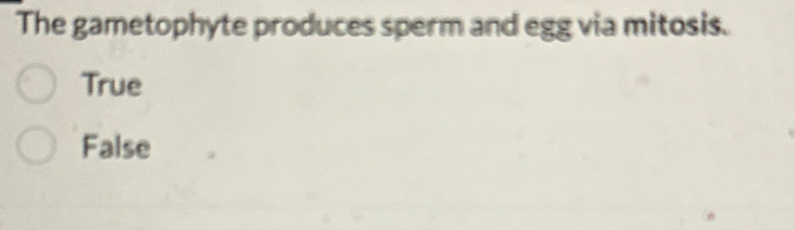 Solved The gametophyte produces sperm and egg via mitosis. | Chegg.com