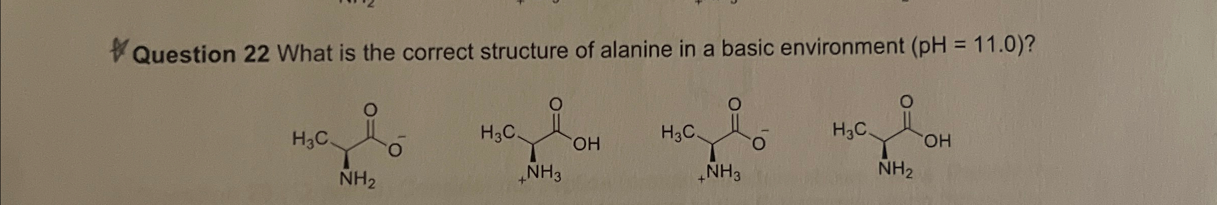Solved Question 22 ﻿what Is The Correct Structure Of Alanine