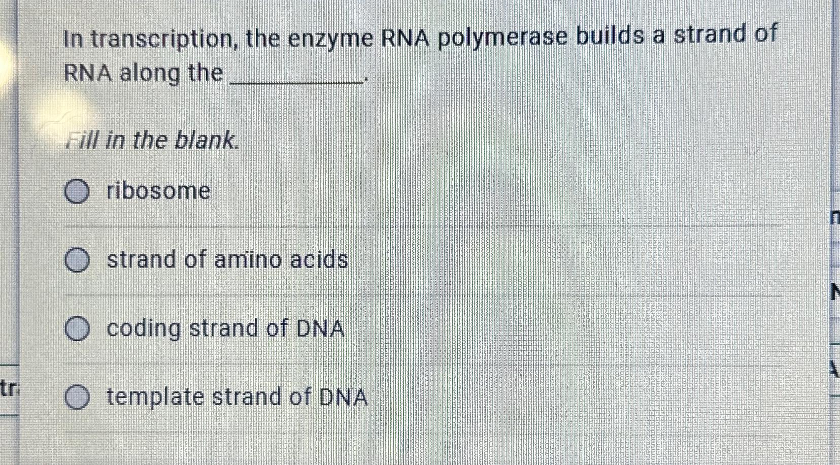 Solved In transcription, the enzyme RNA polymerase builds a | Chegg.com