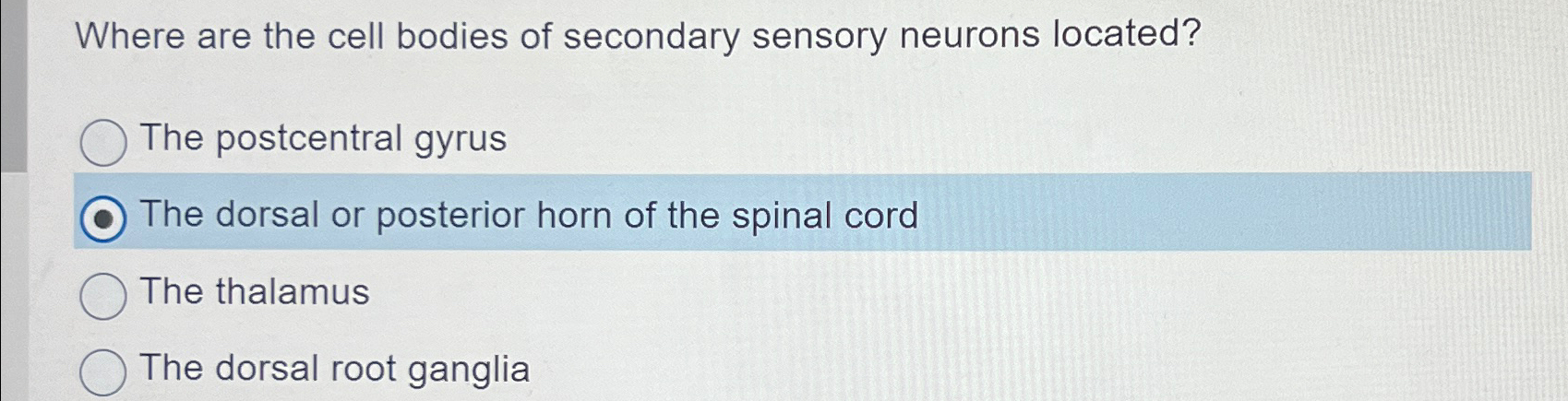 Solved Where are the cell bodies of secondary sensory | Chegg.com
