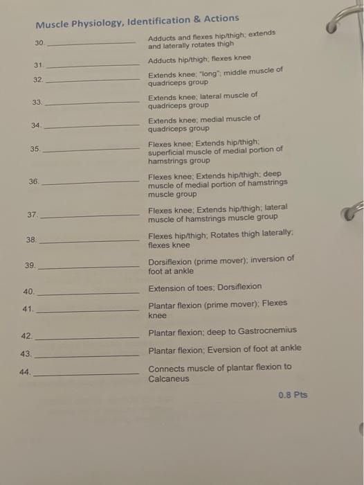 Solved Muscle Physiology, Identification & Actions LAB | Chegg.com