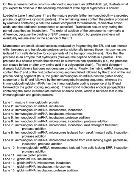 Solved FILL OUT BOTTOM OF THE SECOND PAGEOn the schematic | Chegg.com