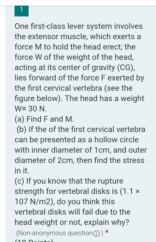 Solved 1 One first-class lever system involves the extensor | Chegg.com