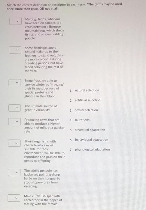 Solved Match the correct definition or descriptor to each | Chegg.com