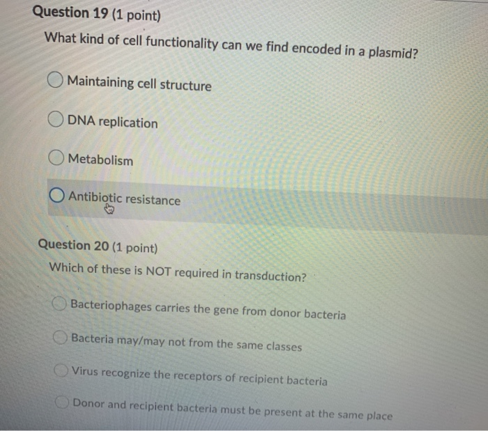 Solved Question 19 (1 point) What kind of cell functionality | Chegg.com