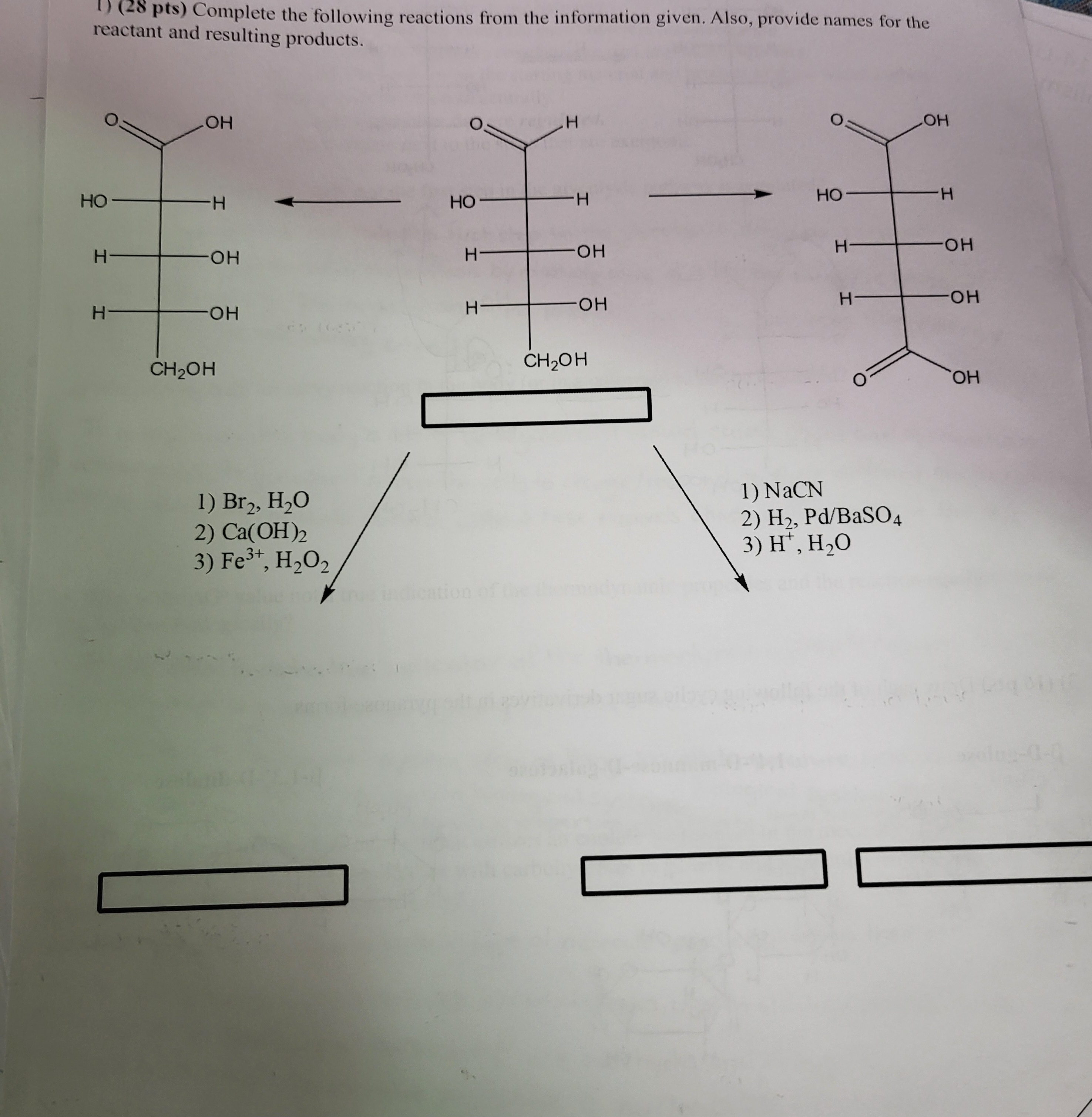 Solved (28pts) ﻿Complete the following reactions from the | Chegg.com