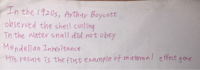 In the 1920s, Arthur Boycott observed the shell | Chegg.com