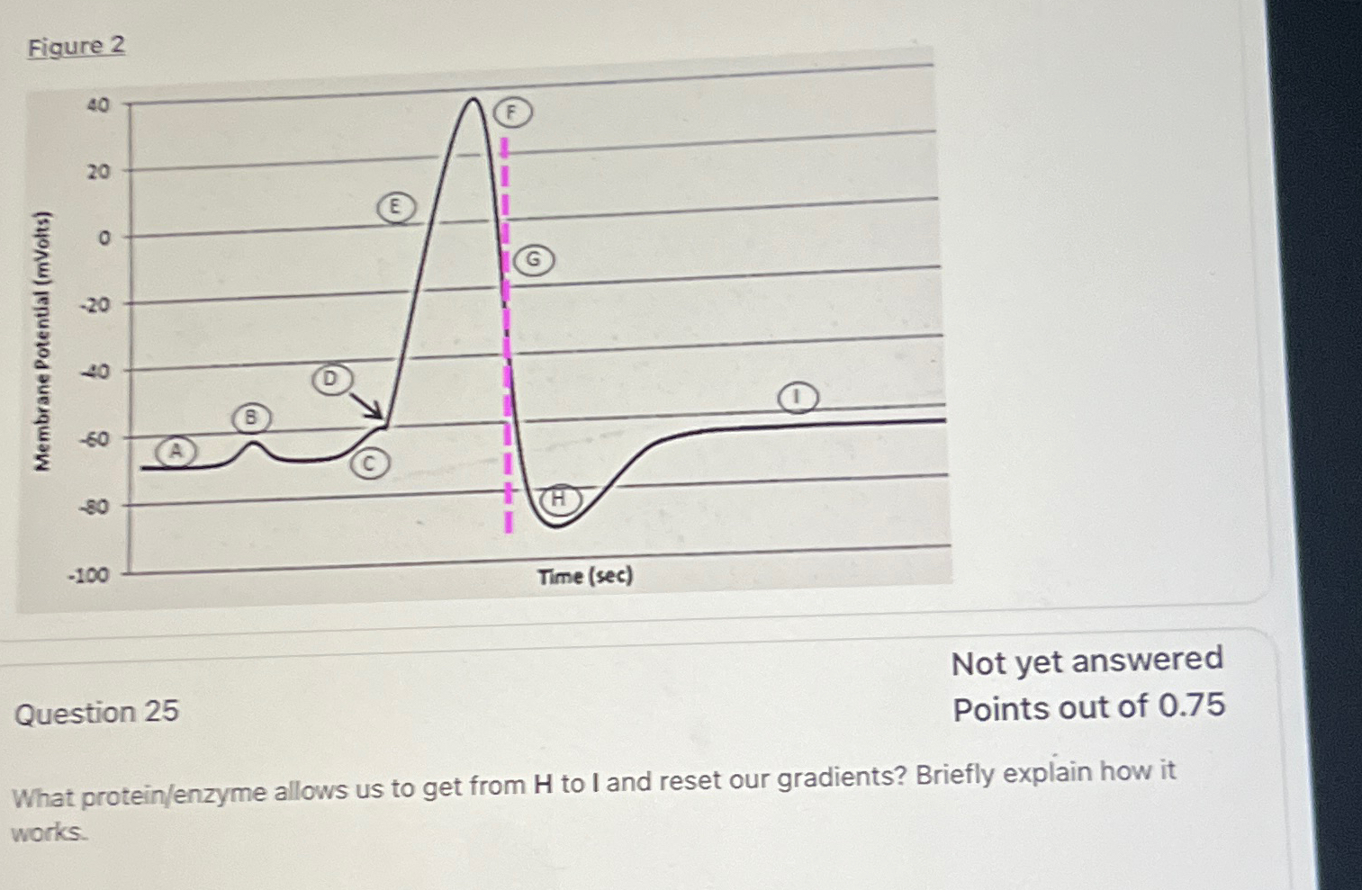 Solved Figure 2Question 25What protein/enzyme allows us to | Chegg.com