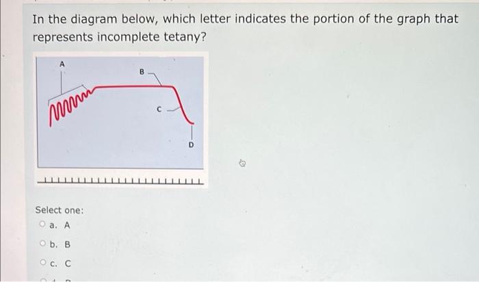 Solved In the diagram below, which letter indicates the | Chegg.com
