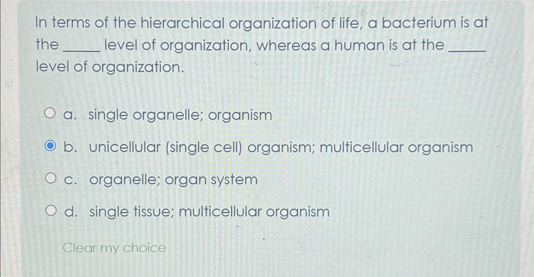 Solved In terms of the hierarchical organization of life, a | Chegg.com