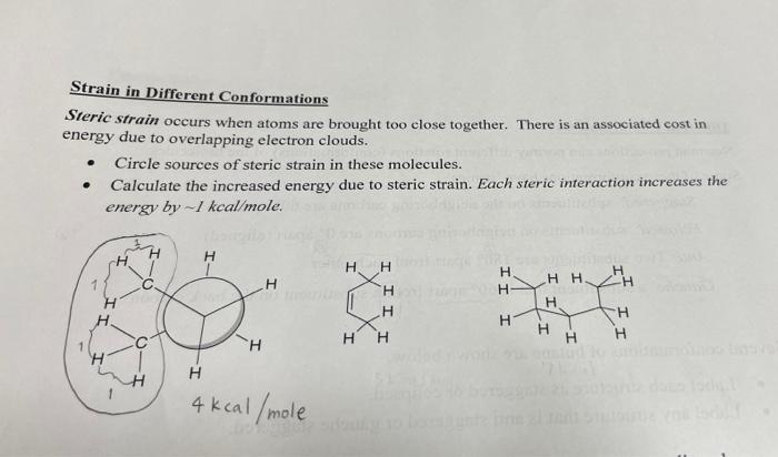Solved Strain in Different Conformations Steric strain | Chegg.com
