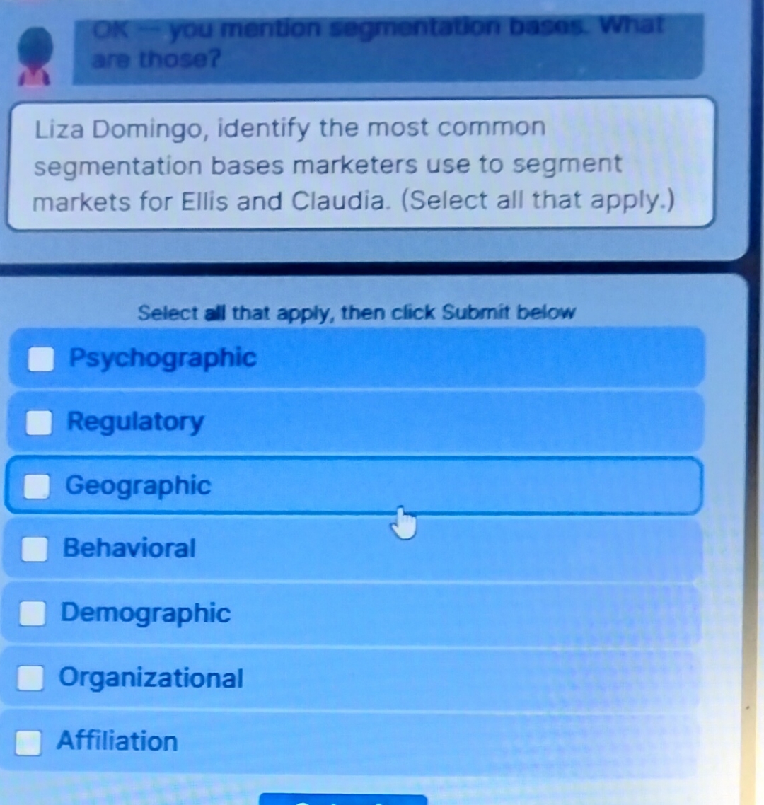 Solved OK - ﻿you mention segmentation bases. What are | Chegg.com