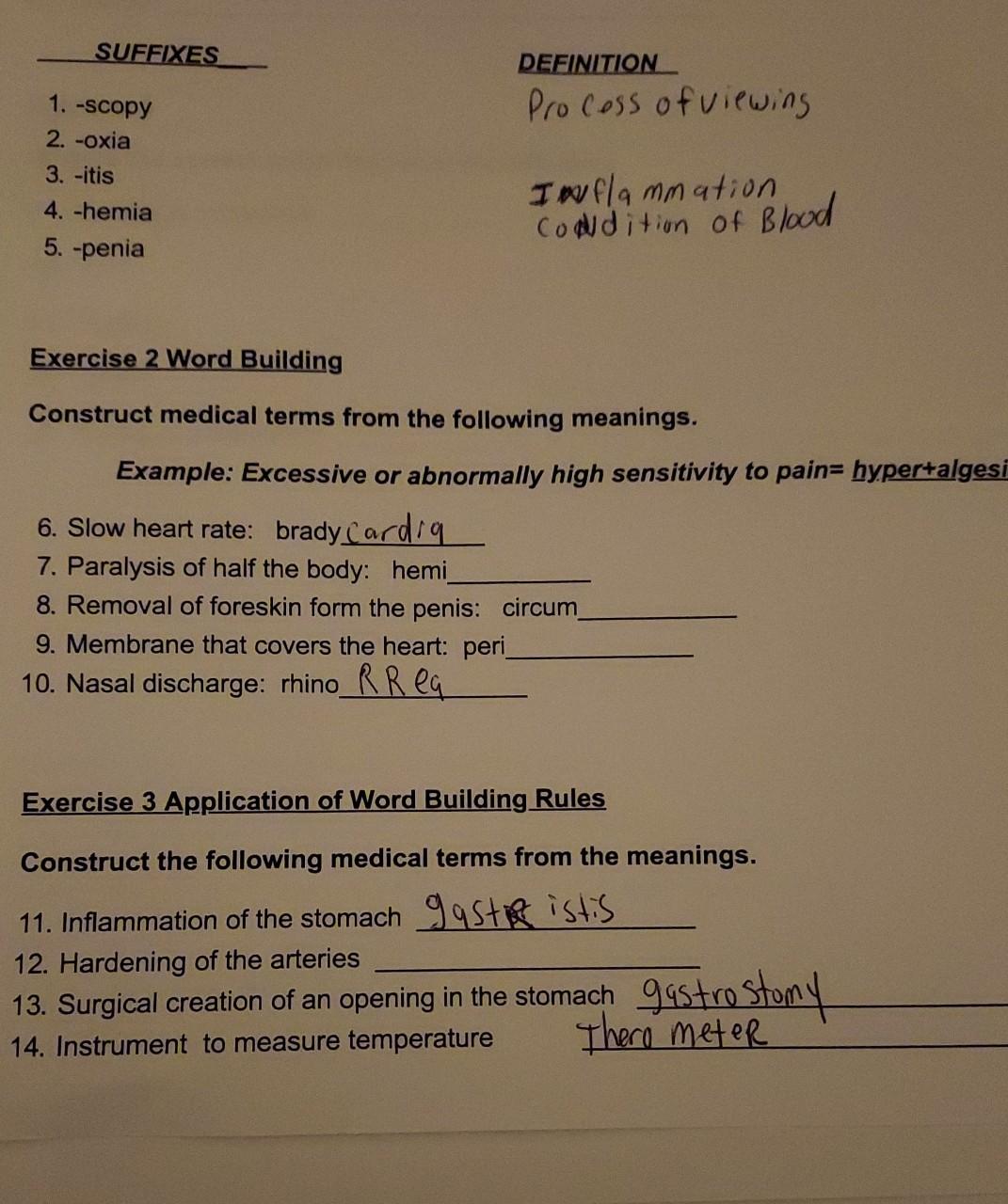 Solved SUFFIXES DEFINITION Process ofviewing 1. -Scopy 2. | Chegg.com