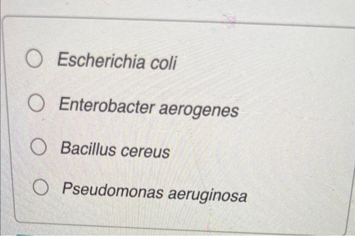 Solved MicroTutor Activity Lab Tutor: Identification of | Chegg.com