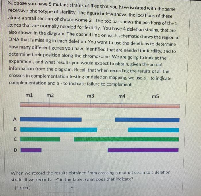 Solved Suppose you have 5 mutant strains of flies that you | Chegg.com