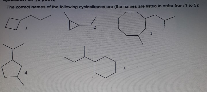 Solved The correct names of the following cycloalkanes are | Chegg.com