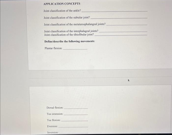 ANKLE \& FOOT MUSCLE ACTION SHEET Complete the | Chegg.com