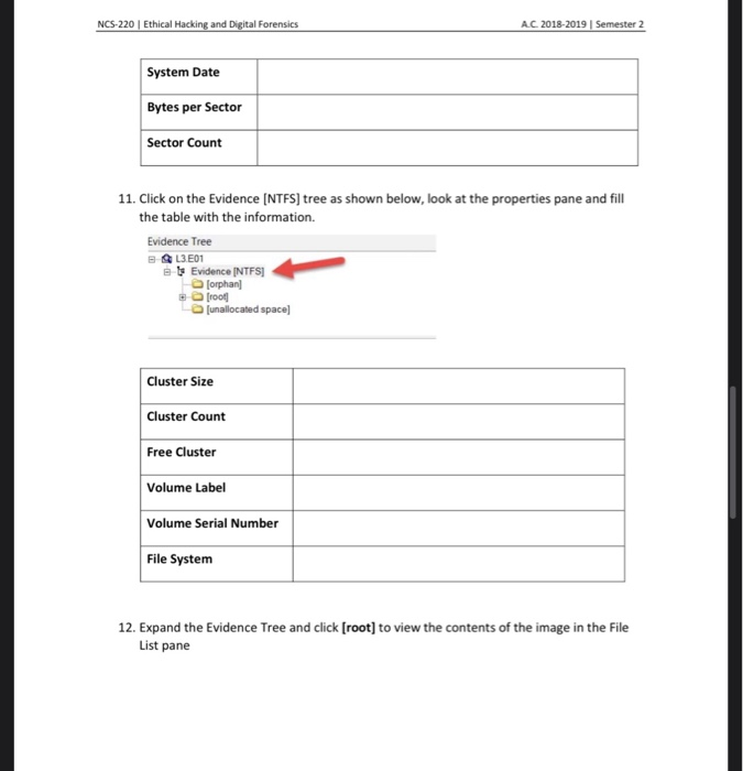 Solved Task 1: Basic Imaging -FTK Imager Task Objectives . . | Chegg.com Solved Task 1: Basic Imaging -FTK Imager Task Objectives . . | Chegg.com